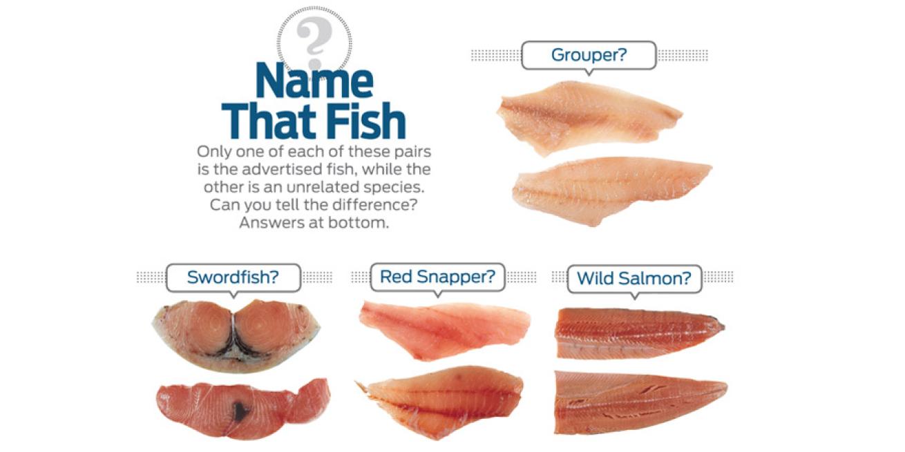 Seafood Fraud: Bait and Switch is Emptying Our Seas | Scuba Diving