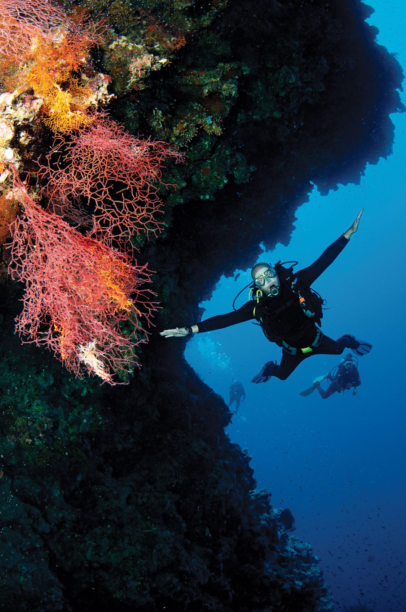 5 Tips for Avoiding Nitrogen Narcosis | Scuba Diving
