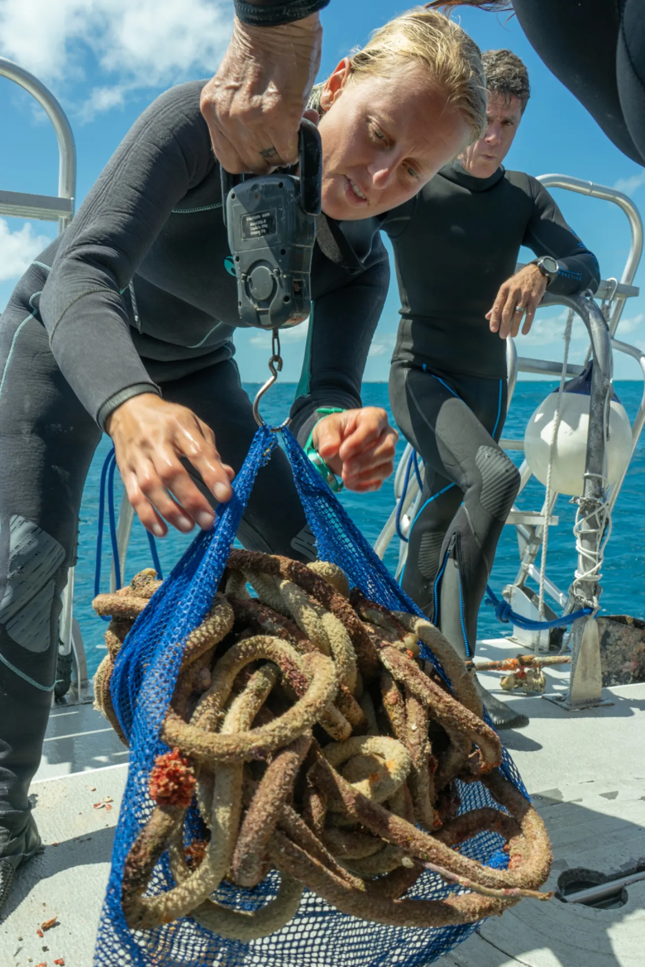 Top Eight Citizen-Science Dives in the Florida Keys | Scuba Diving