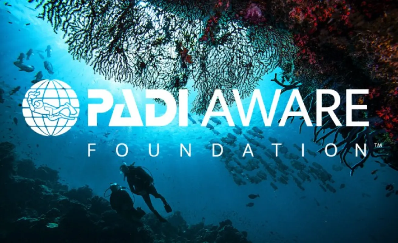 PADI AWARE Foundation Launches New Ocean Protection Grants | Scuba Diving