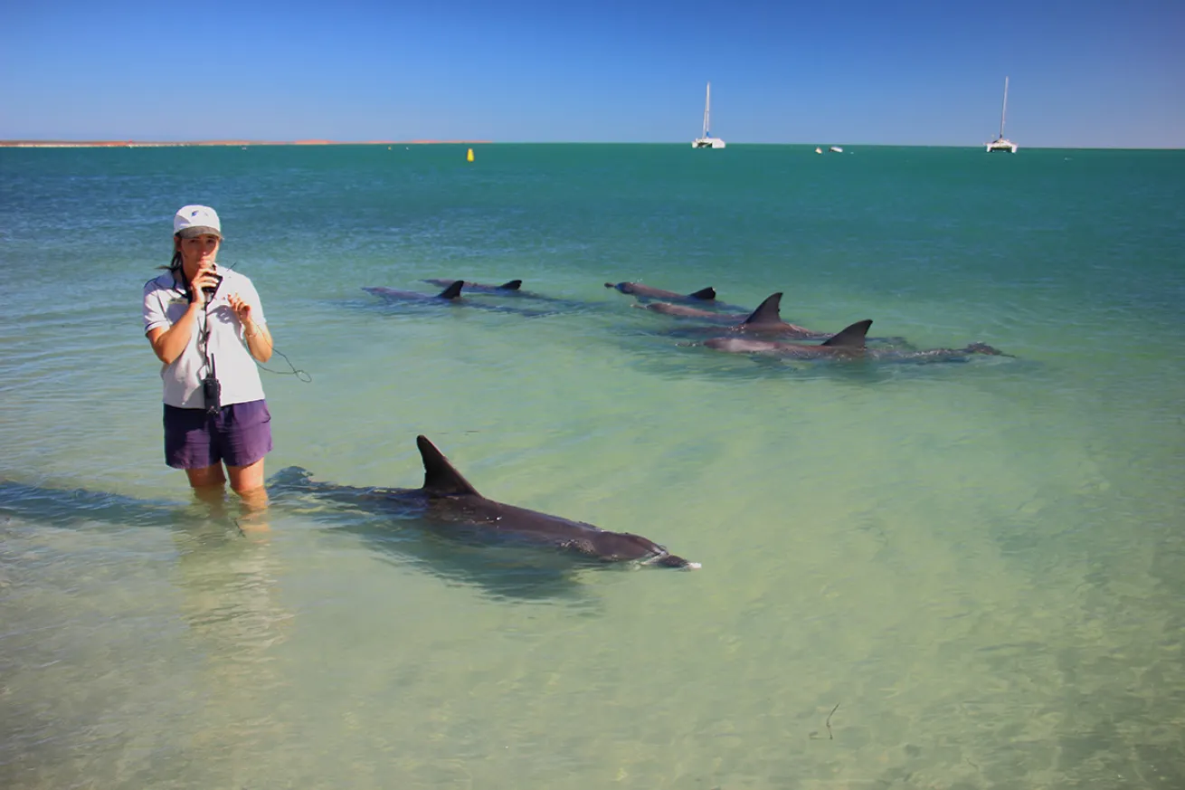 What’s It Like to Be a Marine Biologist? How Do You Become One? | Scuba ...