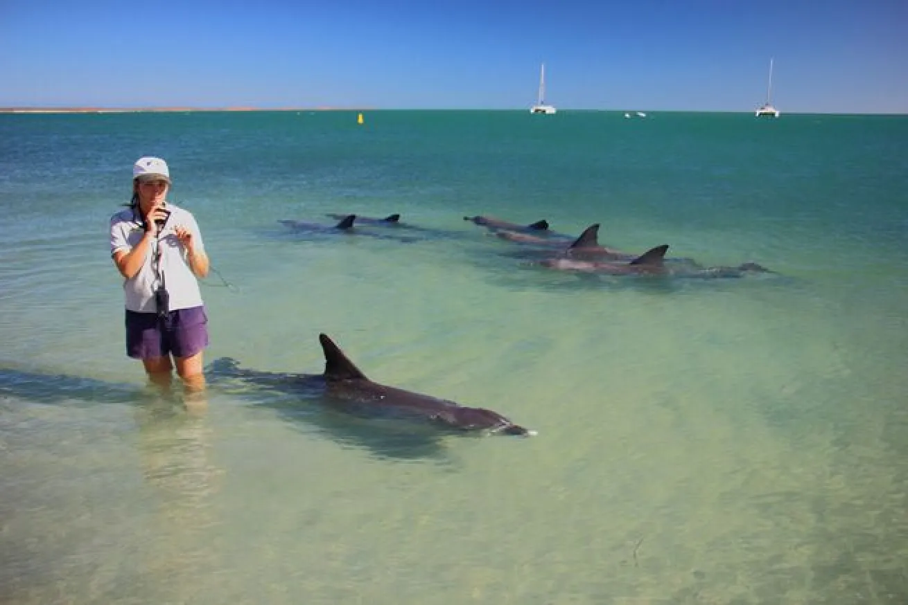 How Can You Become a Marine Biologist Too? | Scuba Diving