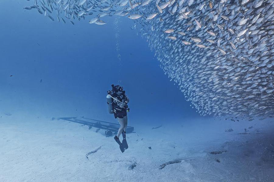 Why You Should Ditch Your Dive Bucket List | Scuba Diving