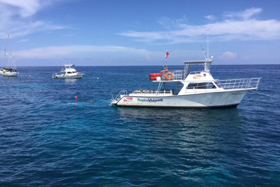 Experience the Best Diving in America with Rainbow Reef! | Scuba Diving