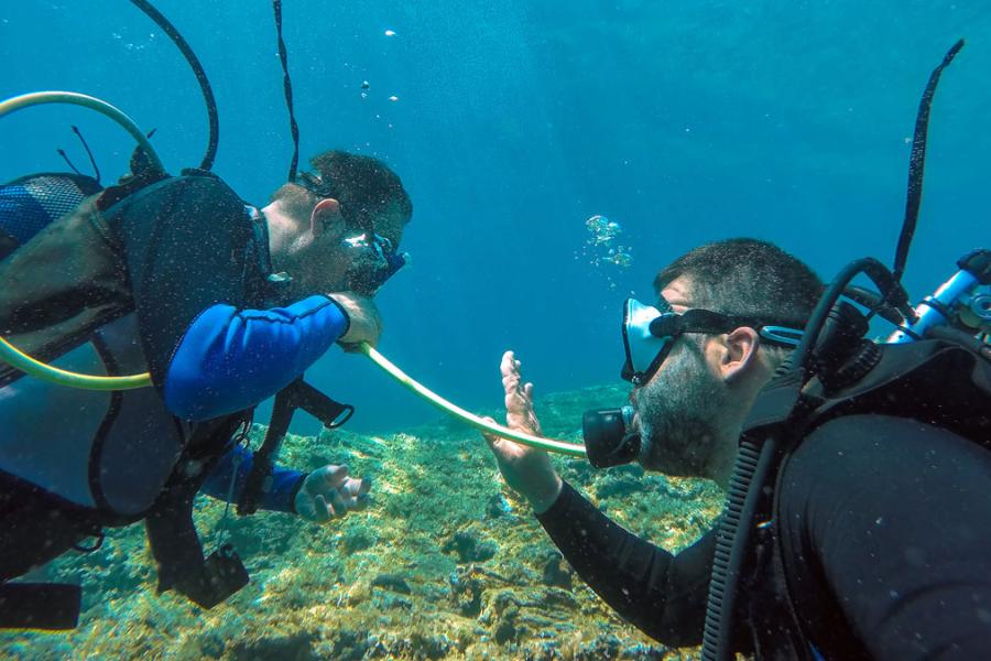 What Scuba Divers Need to Know about Alternate Air Sources | Scuba Diving