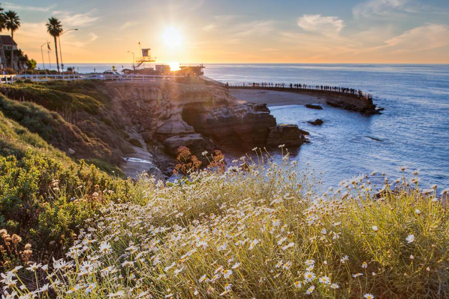 The Ultimate Pacific Coast Scuba Road Trip | Scuba Diving