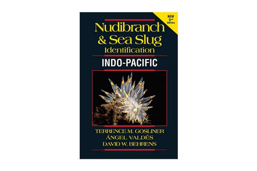 New Nudibranch-ID Book Released by New World Publications | Scuba Diving