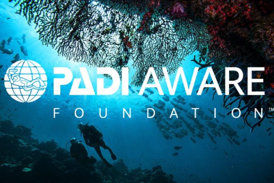 PADI AWARE Foundation Launches New Ocean Protection Grants | Scuba Diving
