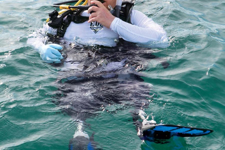 What It's Like: To Dive as a Double Amputee | Scuba Diving
