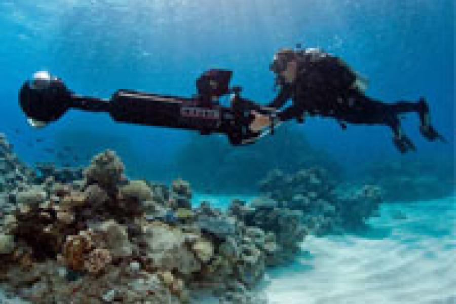 Explore the Ocean Underwater with Google Maps Street View | Scuba Diving
